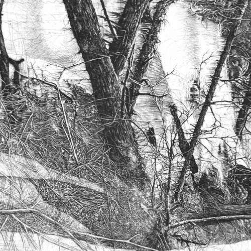 Acquaforte - Repertorio Digitale dell'Incisione Italiana Contemporanea